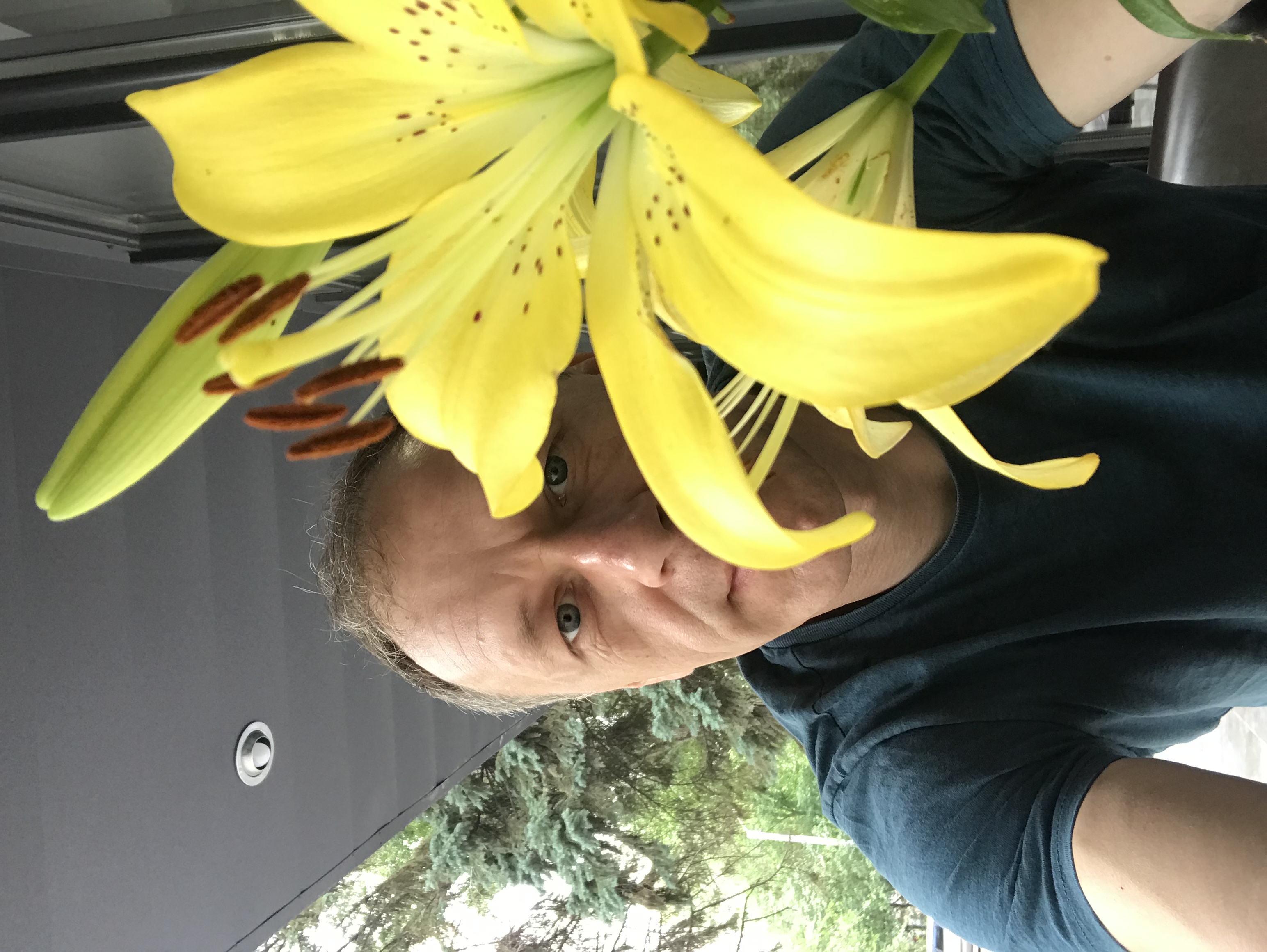 Oleksandr Korol - About Oleksandr Korol, Biography, Exhibitions and ...