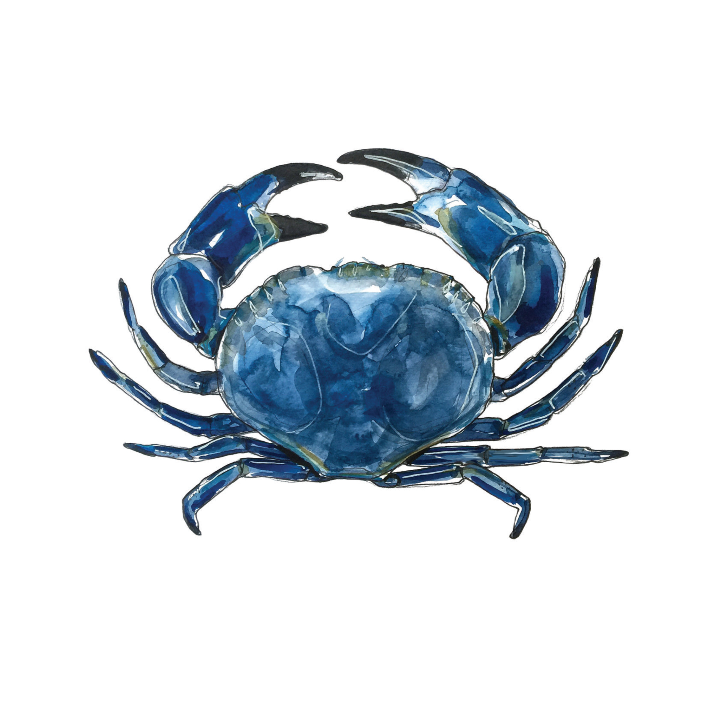 Ali Elly - About Ali Elly, Biography, Exhibitions and More | Artfinder