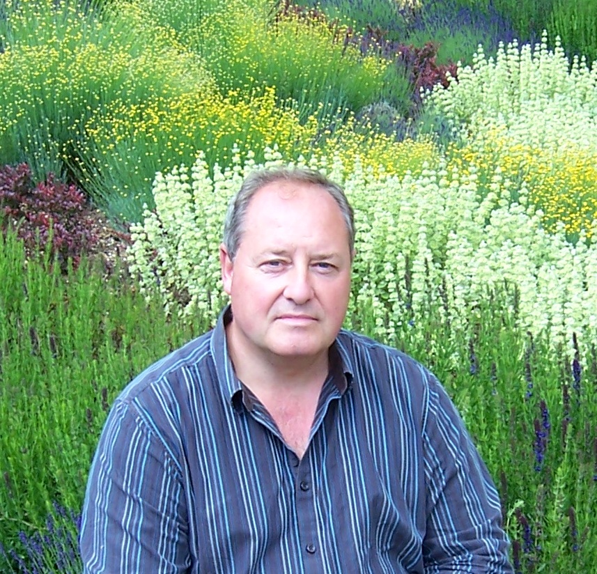 Paul J Best - Paintings for Sale | Artfinder